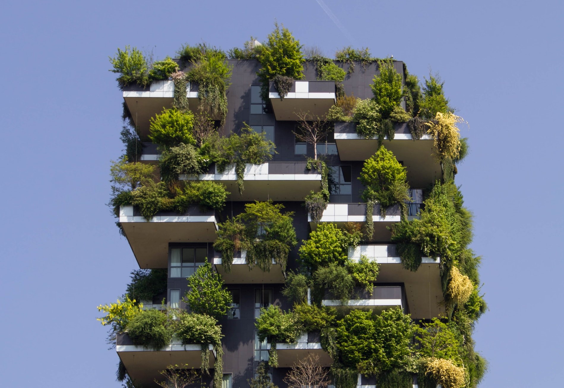 La transition énergétique des bâtiments : quelle loi, pour quels enjeux